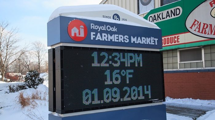 Royal Oak: How a New Logo Defines the Brand - Ideation